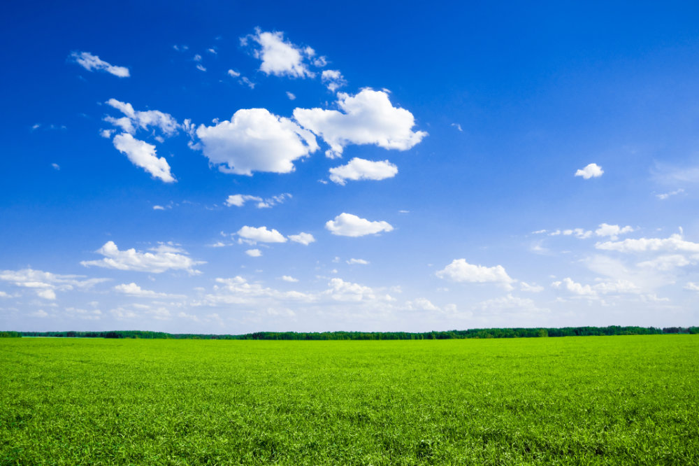 Enhancing Safety and Transparency - Delrin